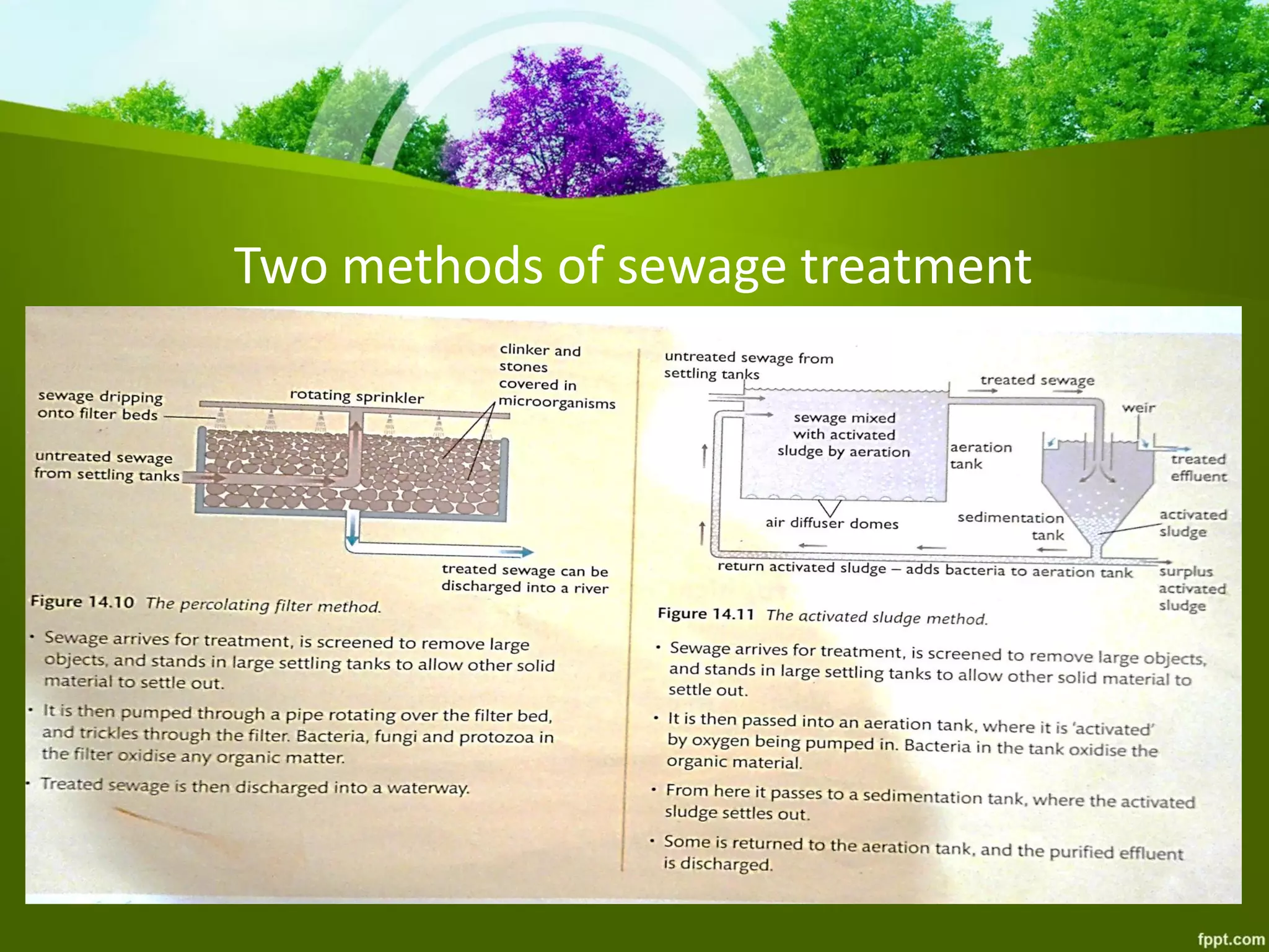 Edexcel IGCSE - Human Biology - Chapter 14 - Human influences on the ...