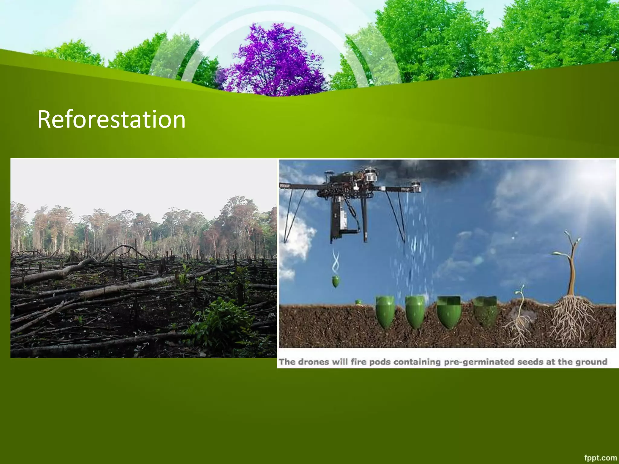 Edexcel IGCSE - Human Biology - Chapter 14 - Human influences on the ...