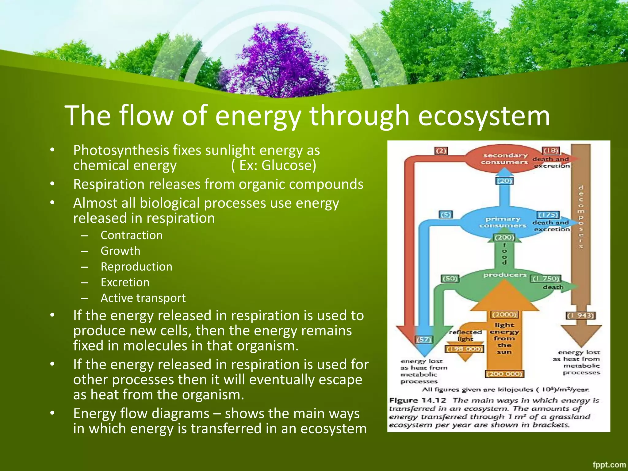 Edexcel IGCSE - Human Biology - Chapter 14 - Human influences on the ...