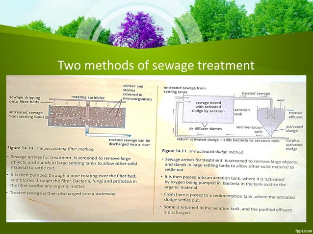 Edexcel IGCSE - Human Biology - Chapter 14 - Human influences on the ...