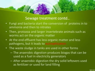 Edexcel IGCSE - Human Biology - Chapter 14 - Human influences on the ...