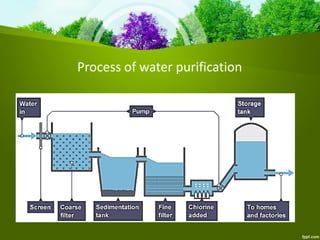 Edexcel IGCSE - Human Biology - Chapter 14 - Human influences on the ...