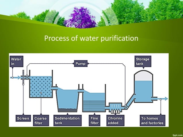 Edexcel IGCSE - Human Biology - Chapter 14 - Human influences on the ...