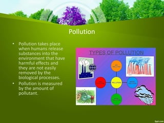 Edexcel IGCSE - Human Biology - Chapter 14 - Human influences on the ...