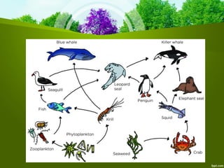 Edexcel IGCSE - Human Biology - Chapter 14 - Human influences on the ...