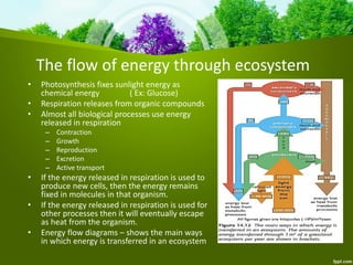 Edexcel IGCSE - Human Biology - Chapter 14 - Human influences on the ...