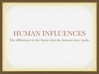 Human Influences Slide Show | PPT