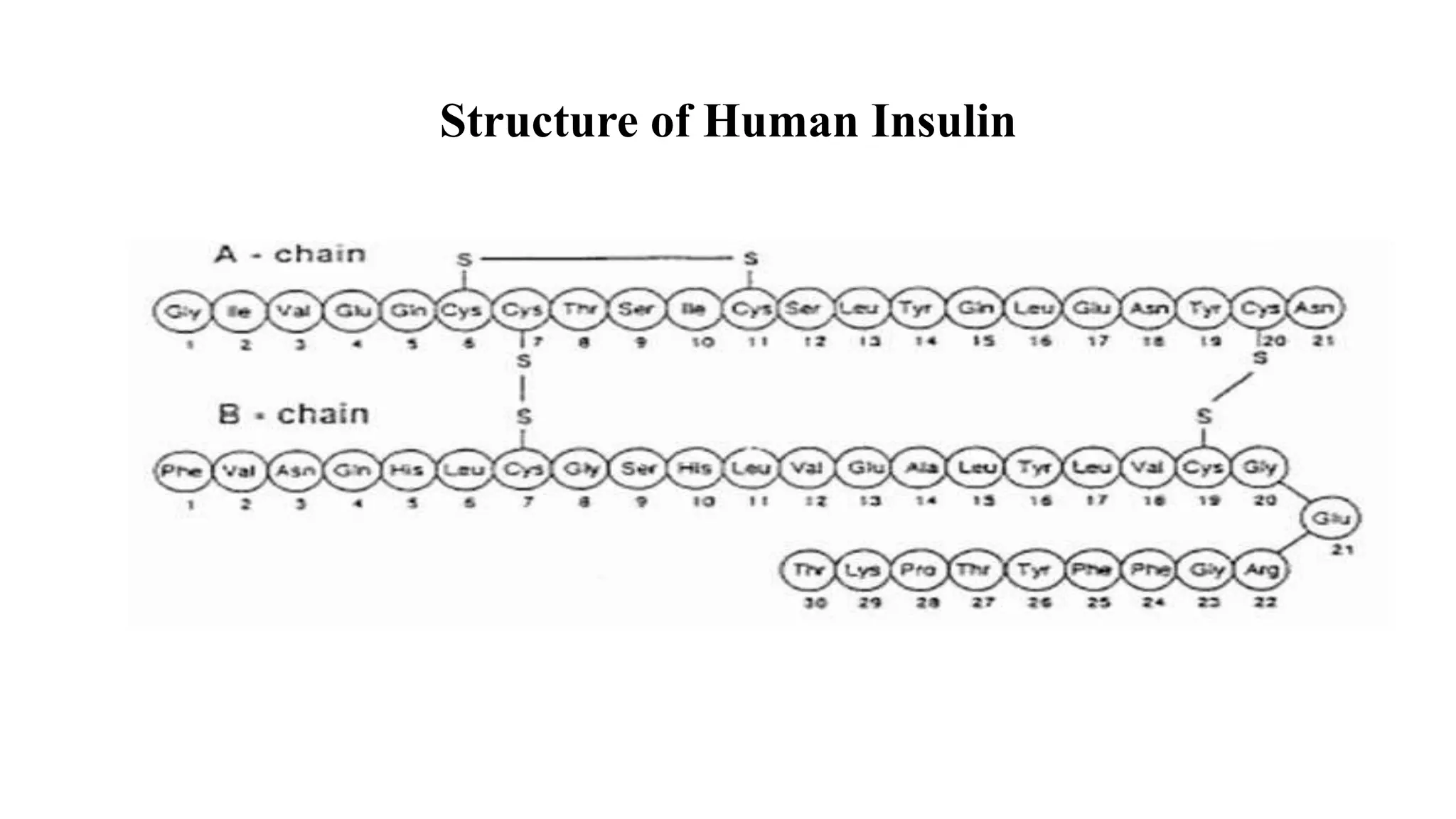 Human insulin by dna recombinant technology | PPTX