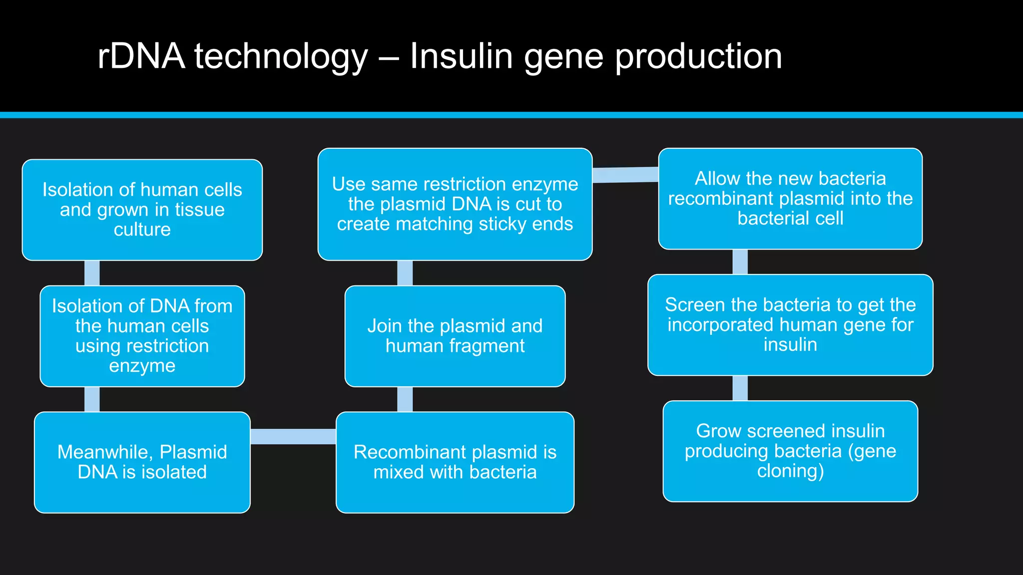 Human insulin production process & requirement | PPTX
