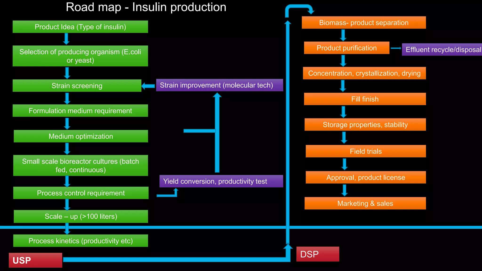 Human insulin production process & requirement | PPTX