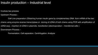 Human insulin production process & requirement | PPTX