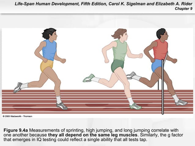 Human intelligence and creativity | PPT