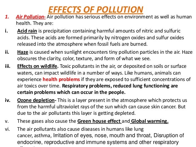 Human interaction with the environment