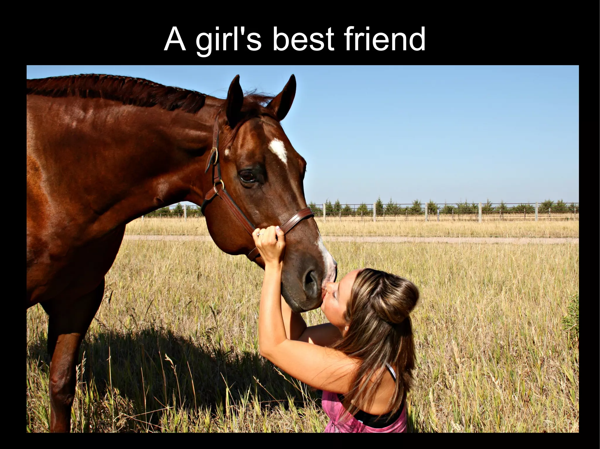 Feature/ Human Interest Photography | PPT