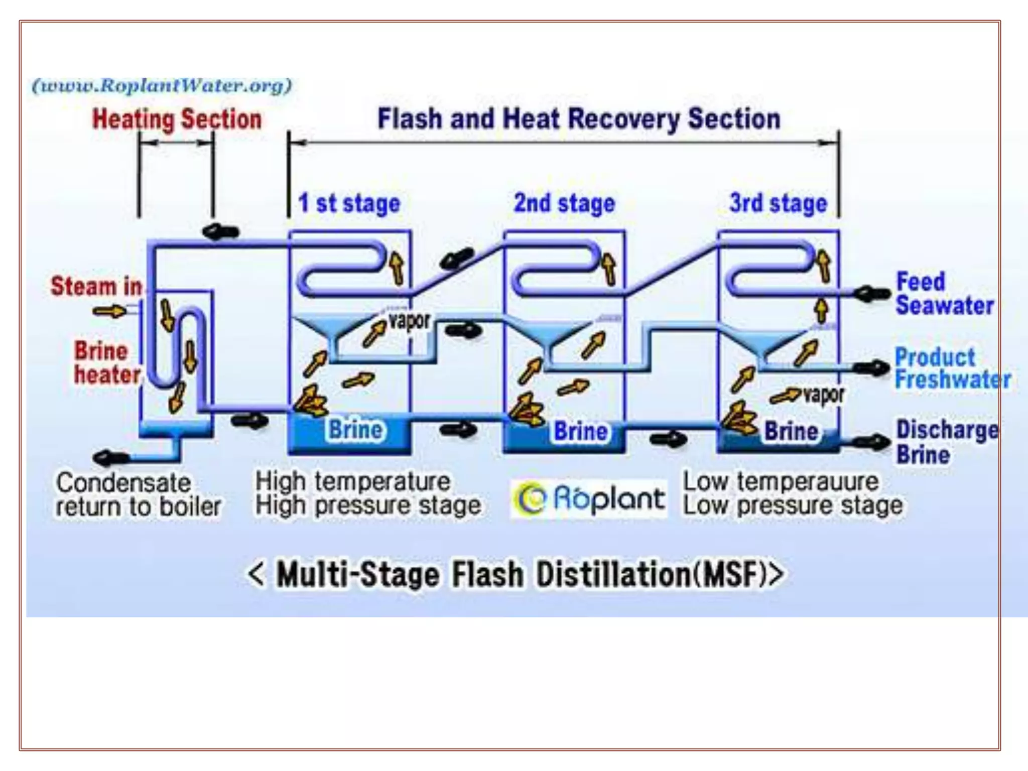 Human interferences in ecosystems | PPTX
