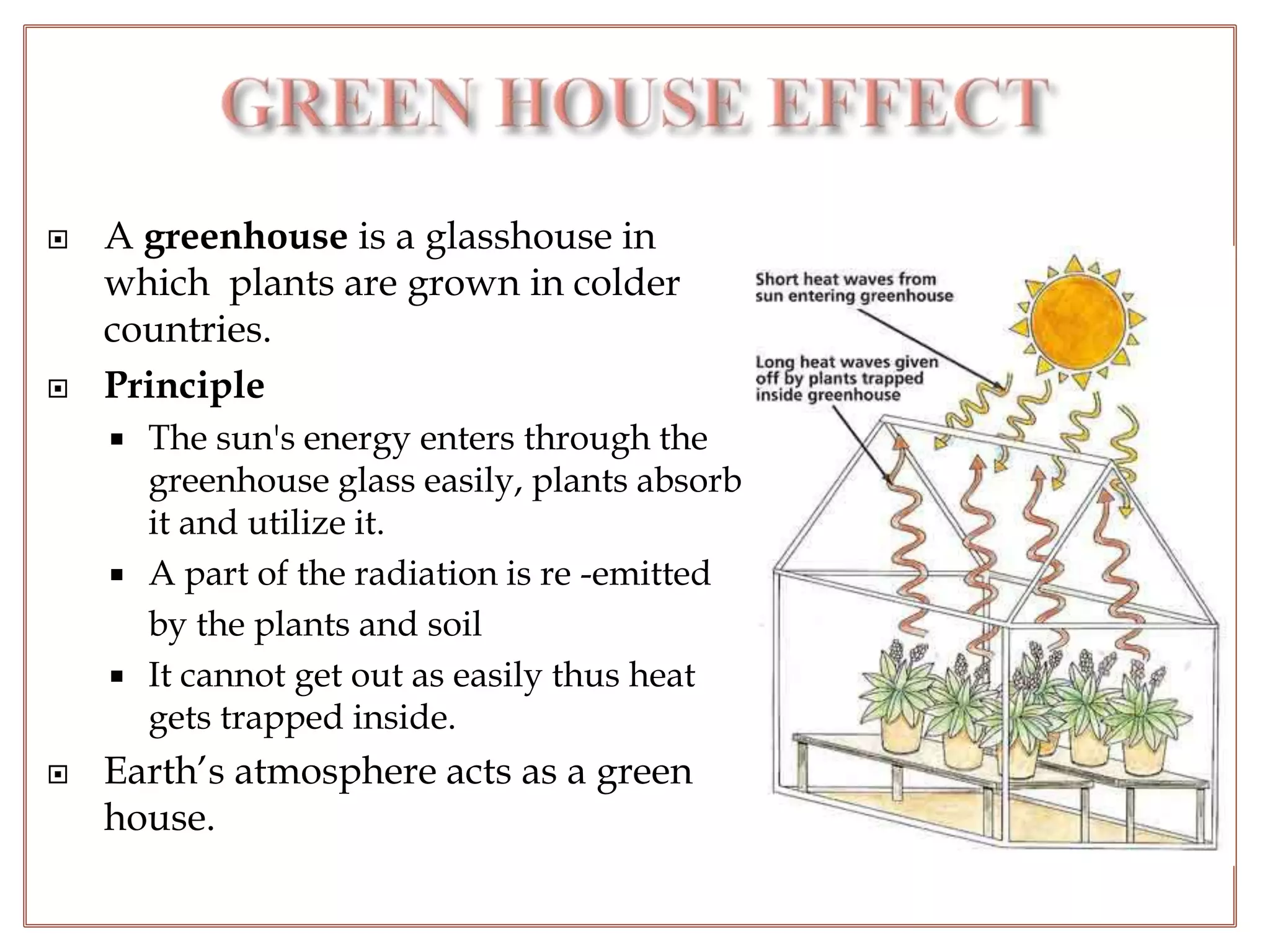 Human interferences in ecosystems | PPTX