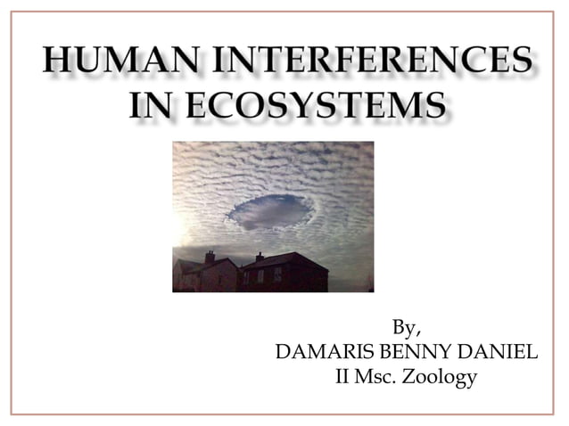 Human interferences in ecosystems | PPT