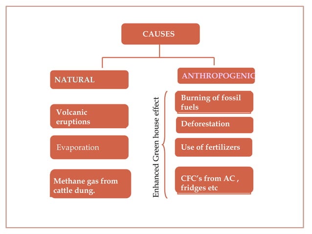 Human interferences in ecosystems | PPT