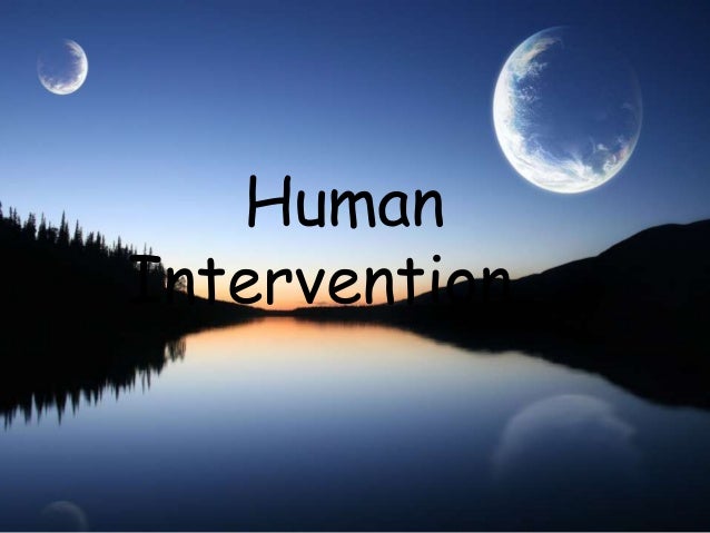 Can a Blue Jay Survive with One Eye - Birds Of The Wild