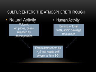 Simple Sulfur Cycle