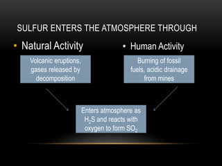 Human intervention in the sulfur cycle | PPTX