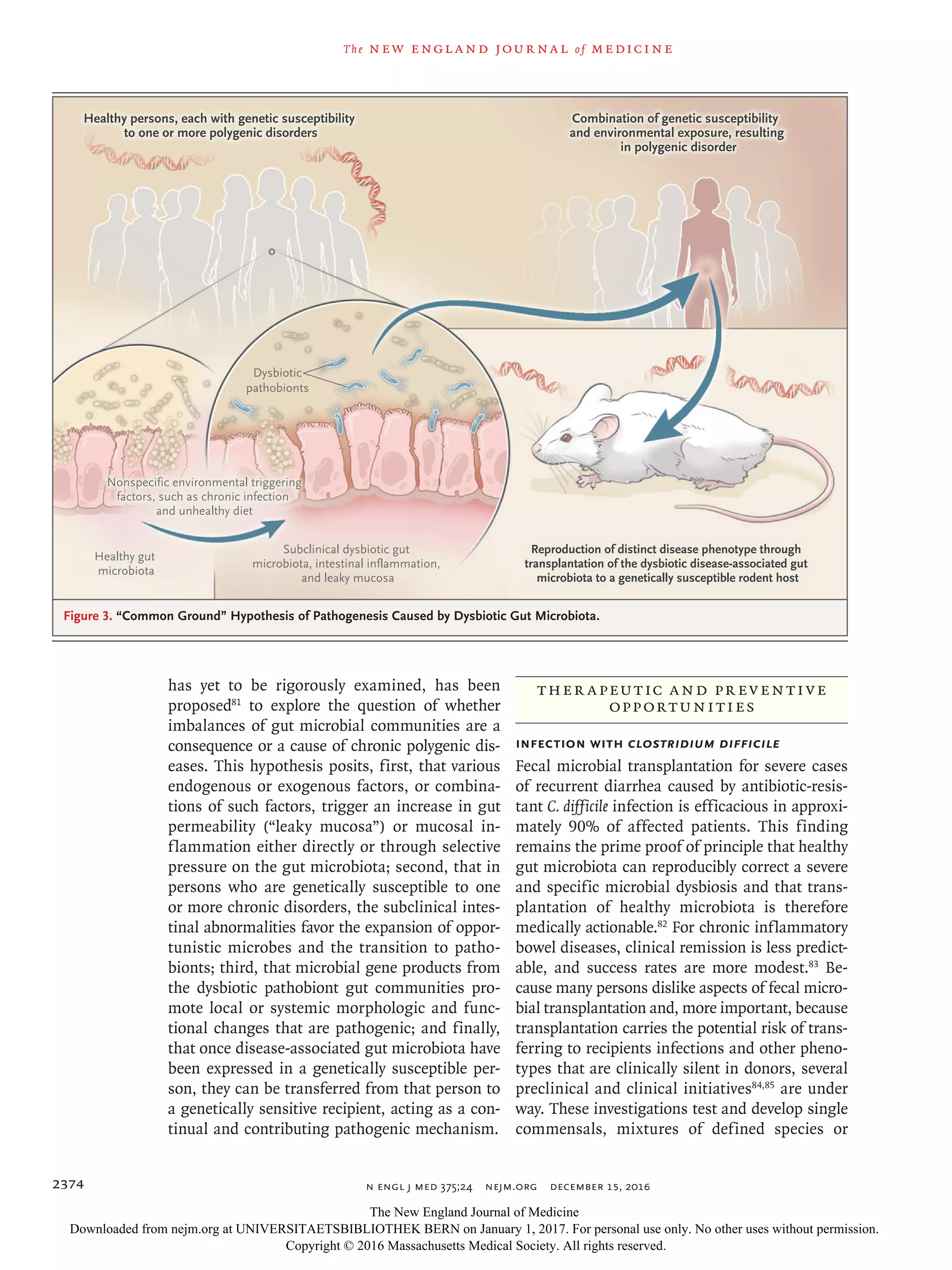 Human intestinal microbiome in health and diseases | PDF