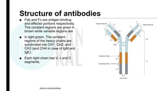 Immunotherapeutics and Humanisation of antibodies | PPTX