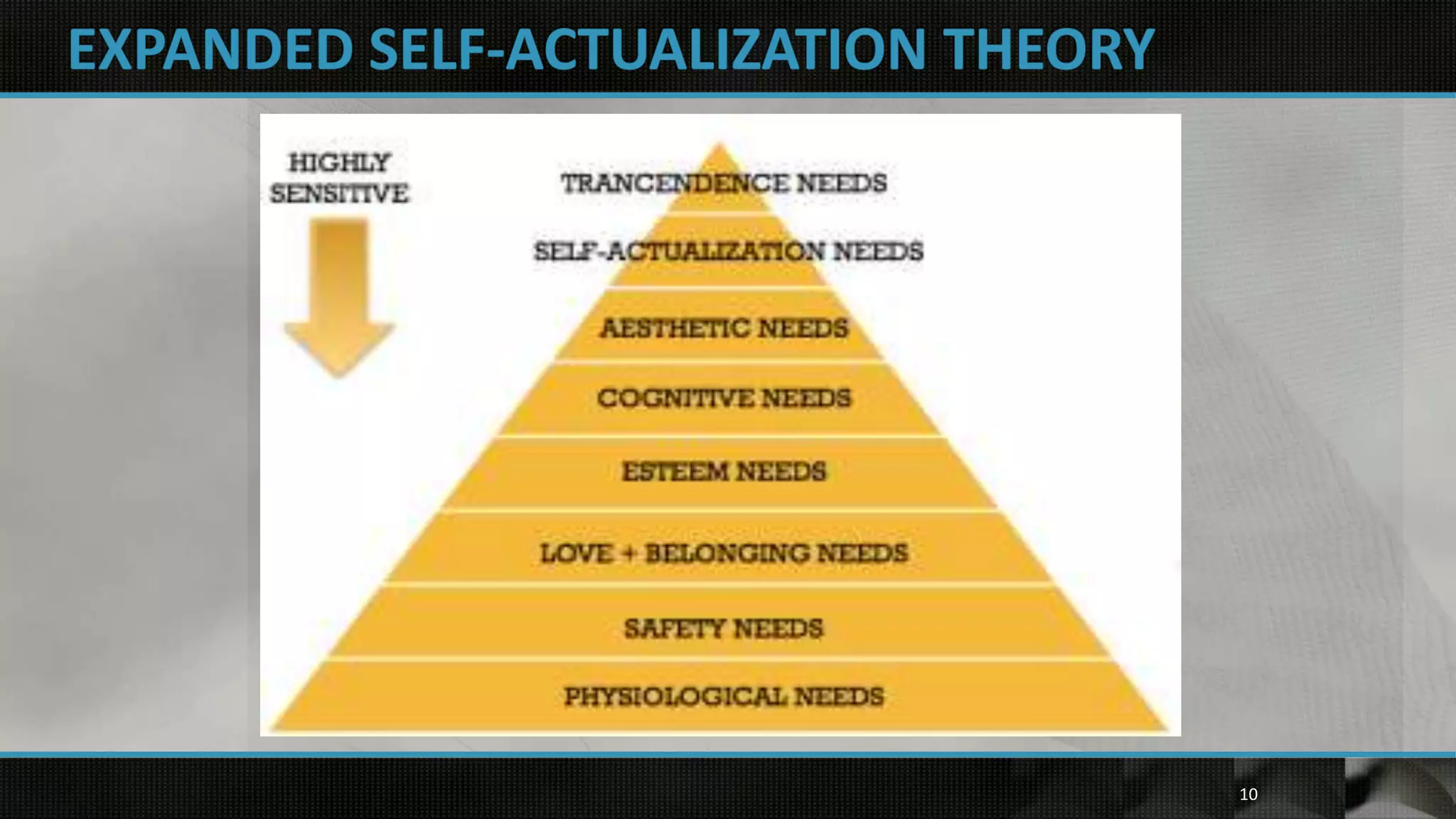 Humanistic theory | PPTX