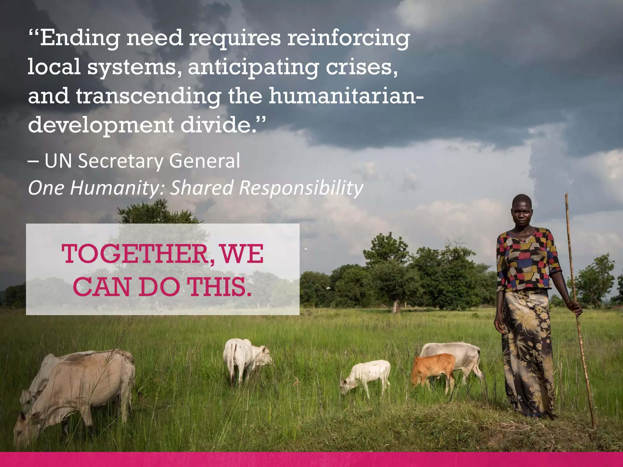 The Humanitarian and Development Nexus | PDF