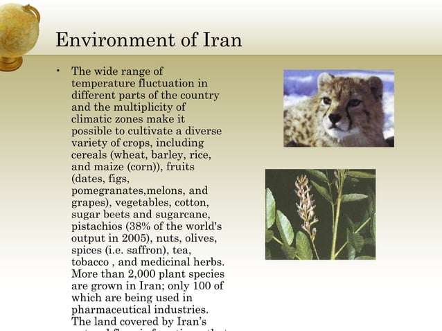 Humanities Presentation Template | PPT