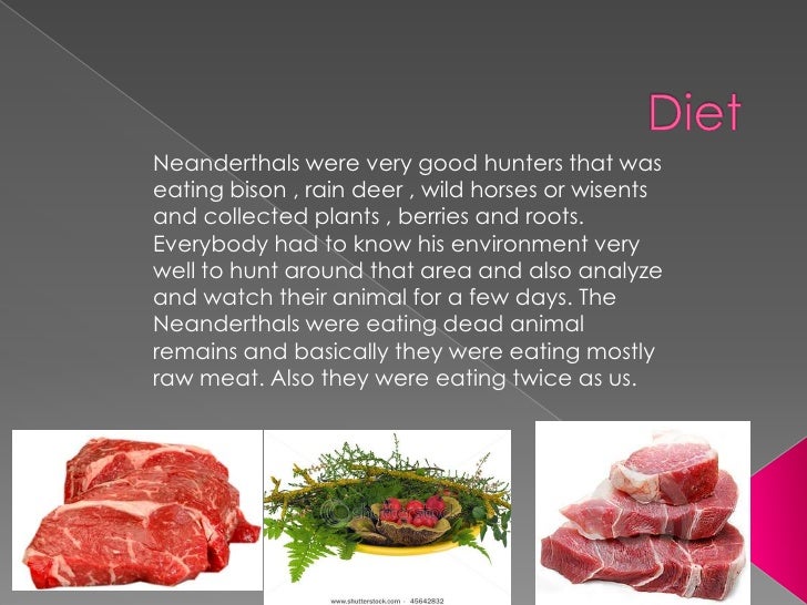 Humanities neanderthal presentaion