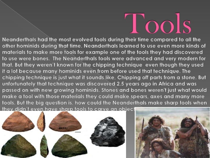 Neanderthals and Humans | What Do You Think