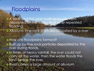 Humanities powerpoint | PPT