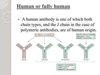 Humanized antibody | PPTX