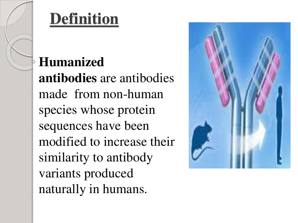 Humanized antibody