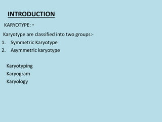 Human karyotyping in sex determination in genetics | PPTX