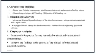 Human Karyotype: Decoding Our Chromosomal Makeup and Its Clinical ...