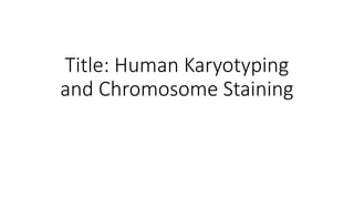 human karyotyping.pptx human karyotyping | PPT