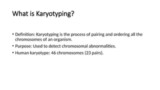 human karyotyping.pptx human karyotyping | PPTX