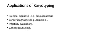 human karyotyping.pptx human karyotyping | PPT