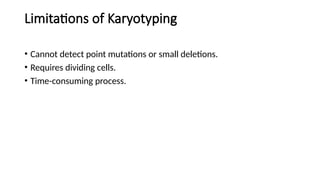 human karyotyping.pptx human karyotyping | PPT