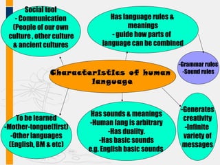 Human language | PPT