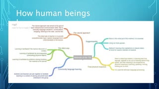 Human learning | PPT