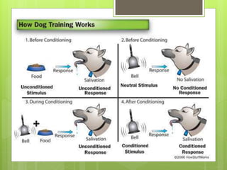 Human learning theories | PPTX