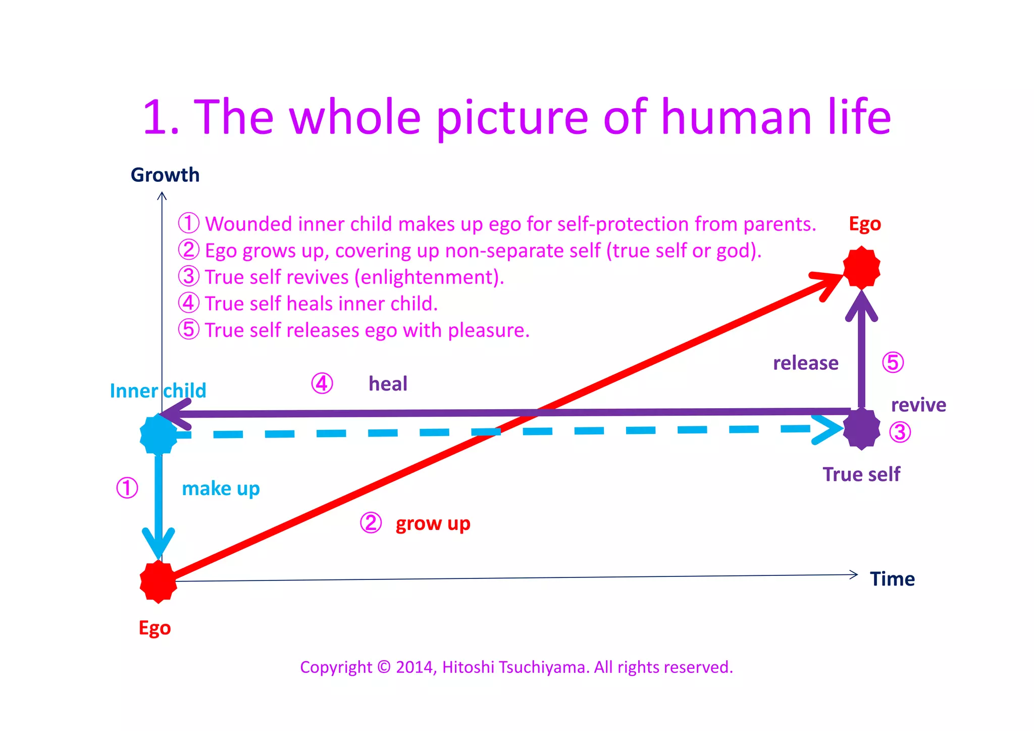 Mystery of Human Life | PDF
