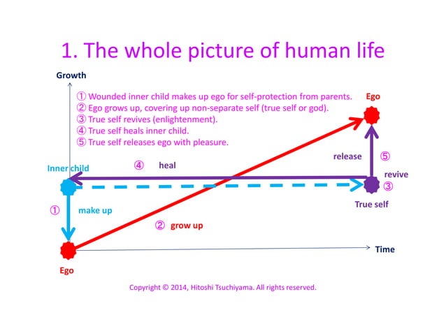 Mystery of Human Life | PDF | Parenting | Family and Relationships