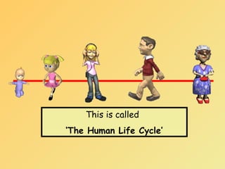 Human life cycle | PPT