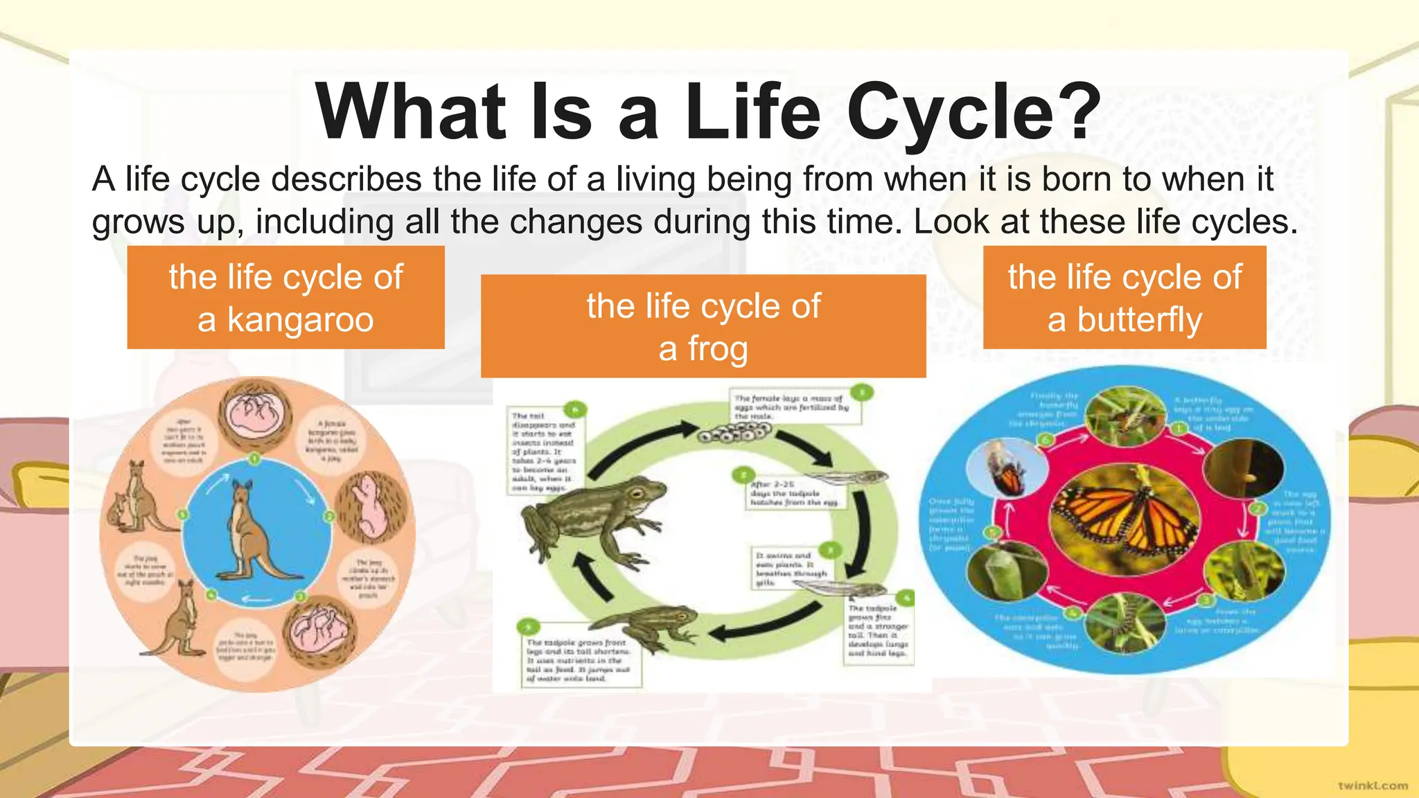 Human Life Cycle science for upper primary | PPT