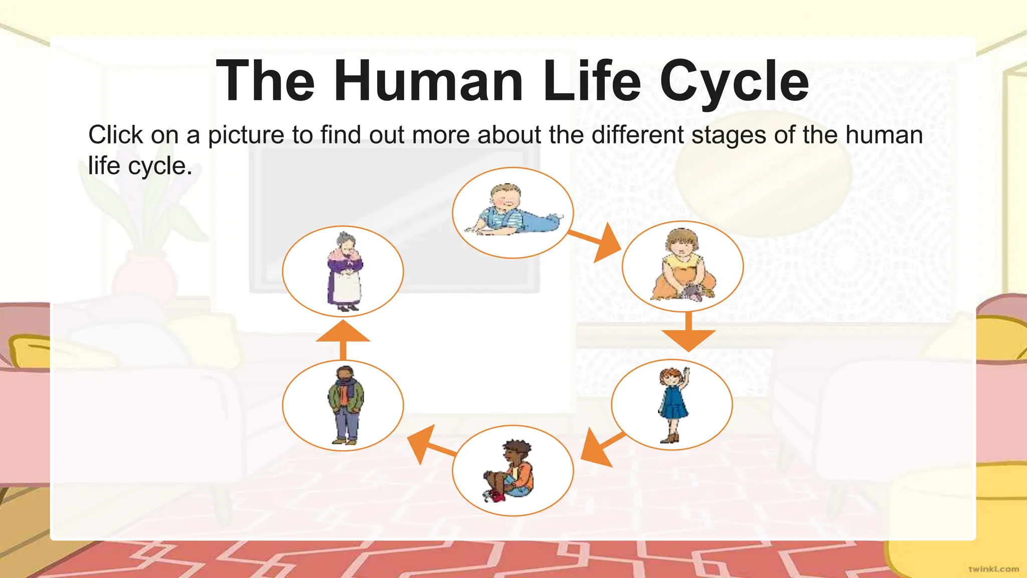 Human Life Cycle science for upper primary | PPT