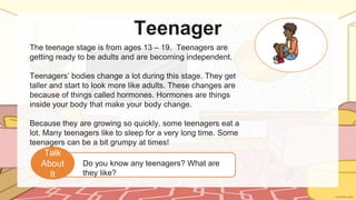 Human Life Cycle science for upper primary | PPT